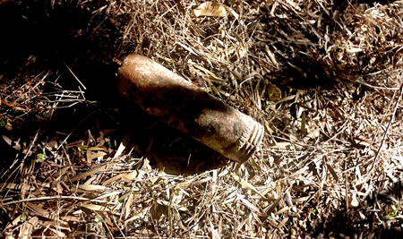 Hidden treasure turns up to be a bomb – J-Wire